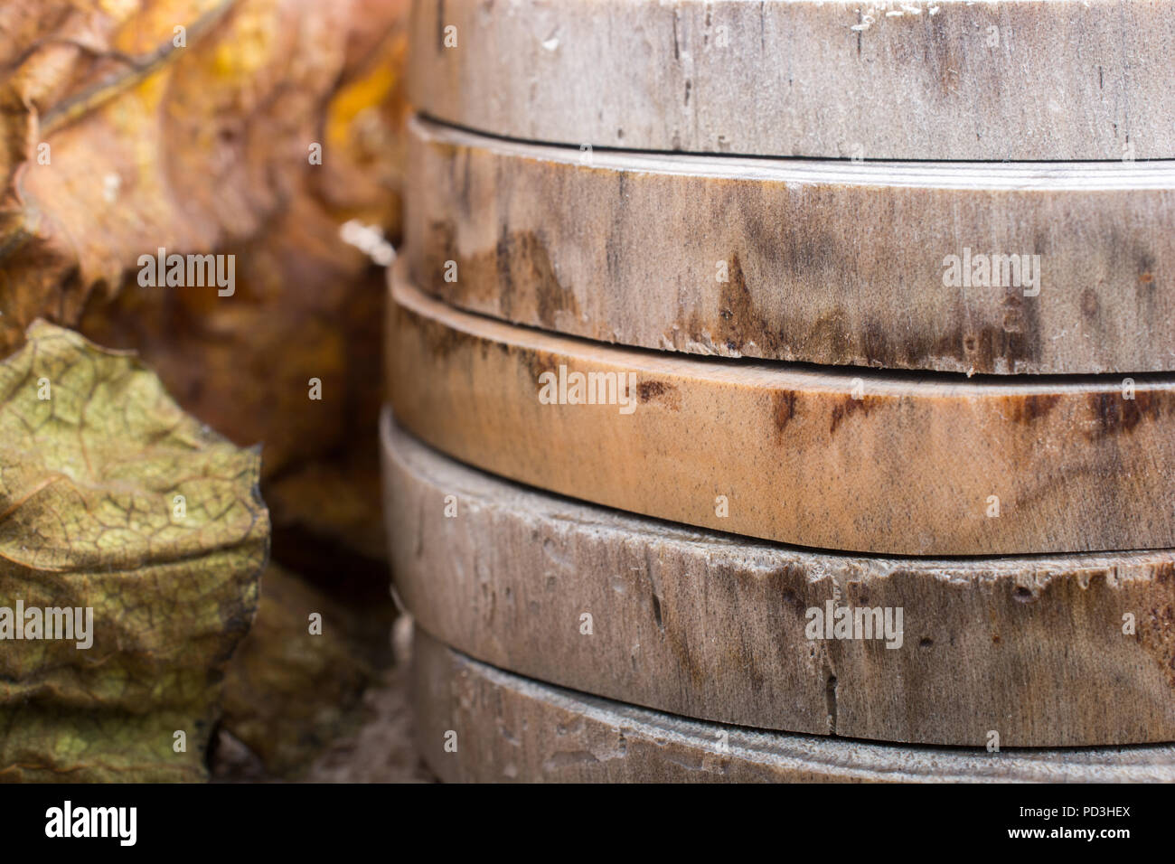 Wood Log cut in round thin pieces in view Stock Photo - Alamy