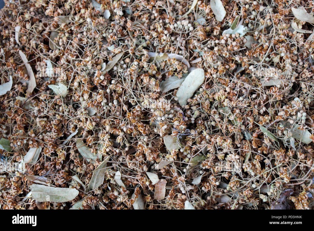 Dry herbal plants as food and remedy Stock Photo - Alamy