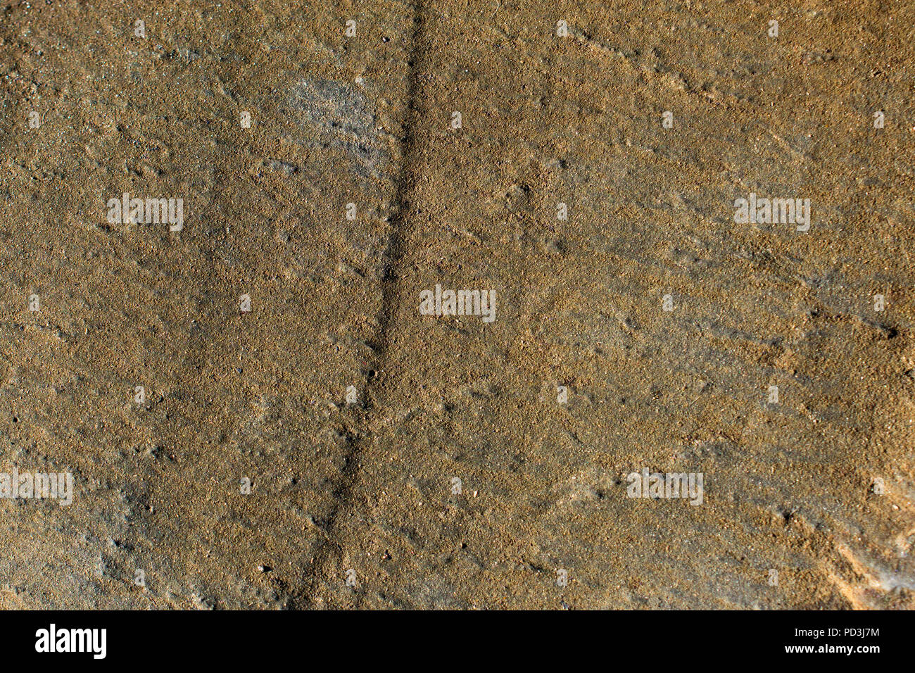 Natural rock or Stone surface as background texture Stock Photo - Alamy