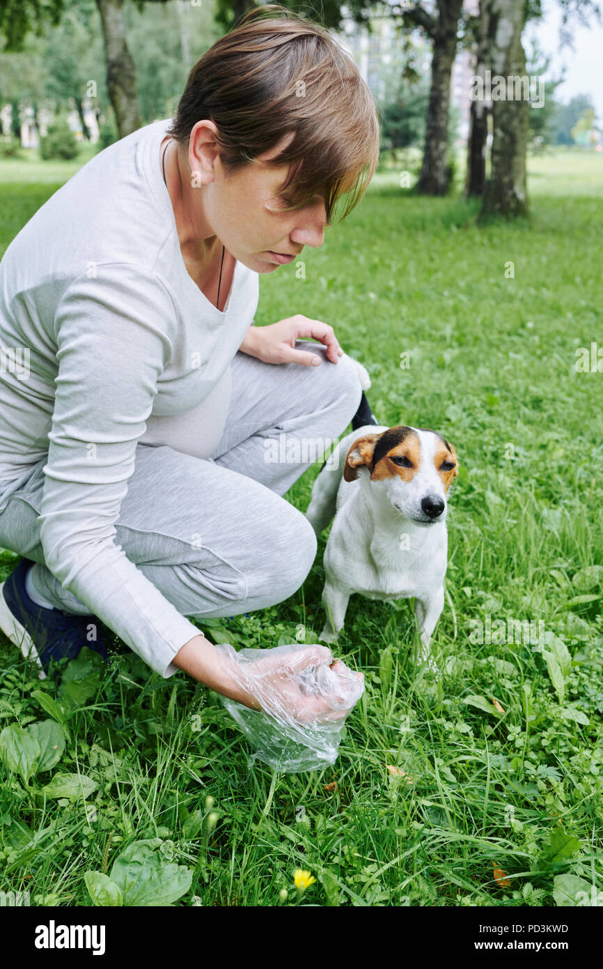 Woman cleaning up after the dog Stock Photo - Alamy