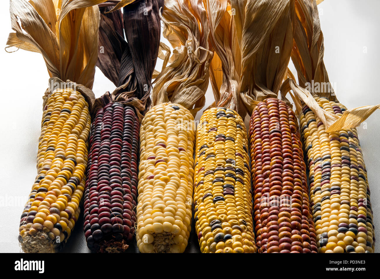 Different types kinds varieties hi-res stock photography and images - Alamy