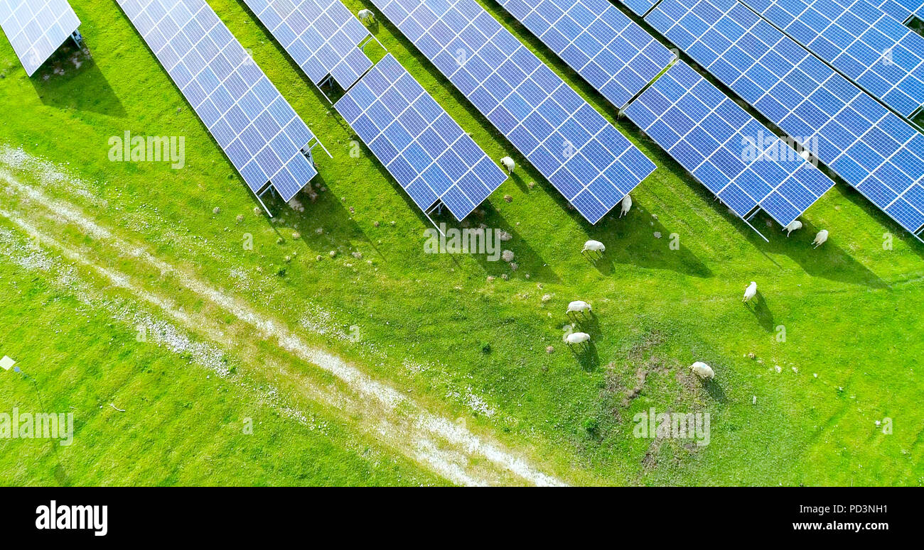 Solar panels in aerial view Stock Photo - Alamy