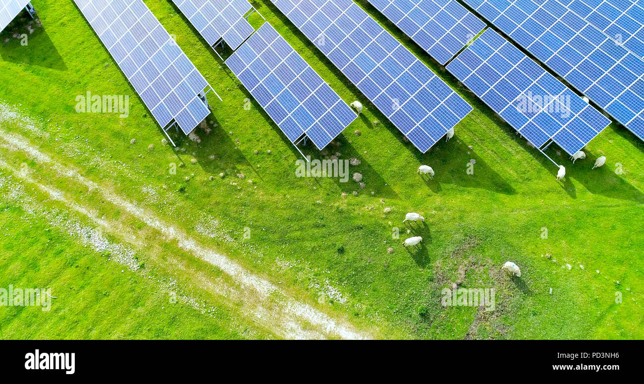 Solar panels in aerial view Stock Photo - Alamy