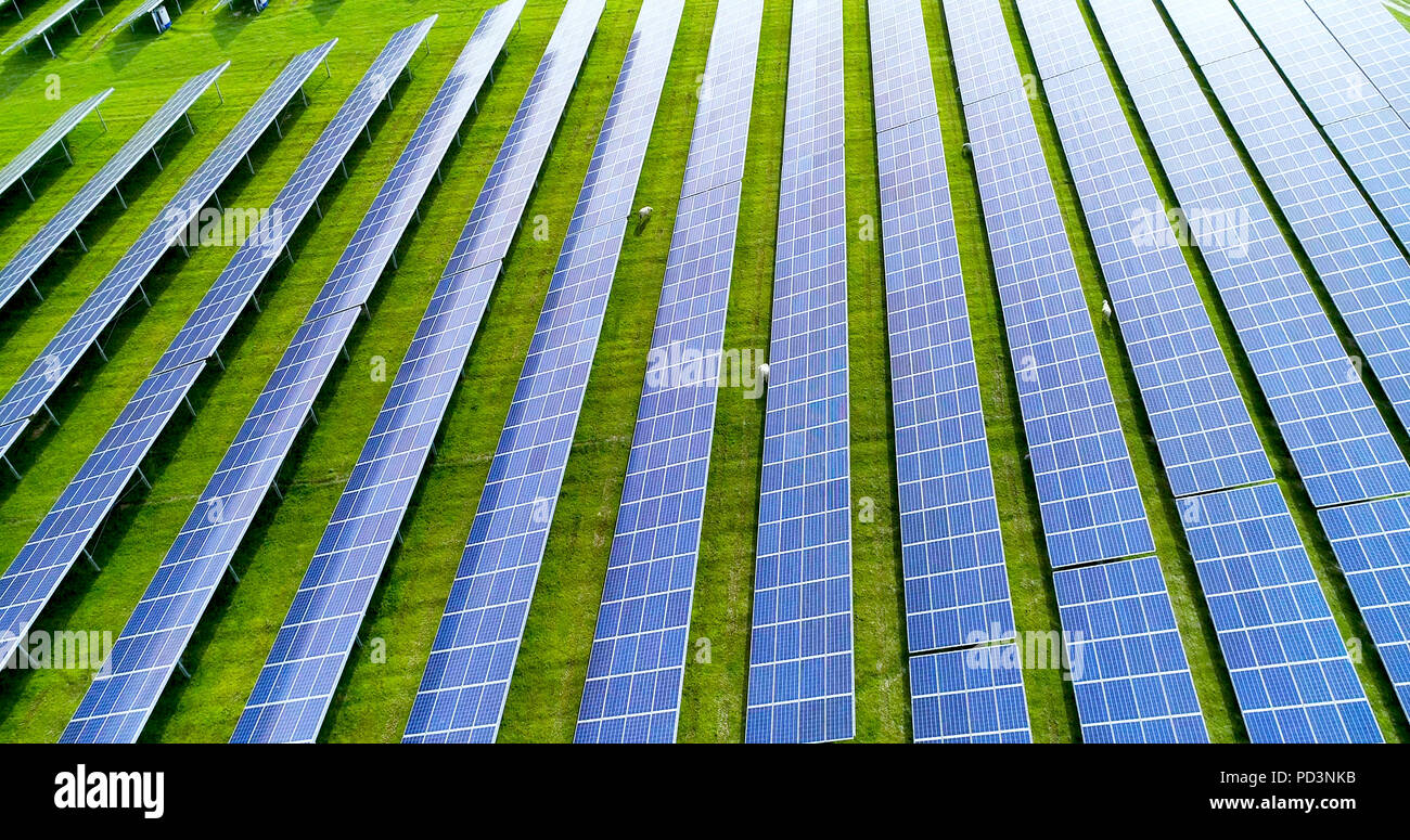 Solar panels in aerial view Stock Photo - Alamy