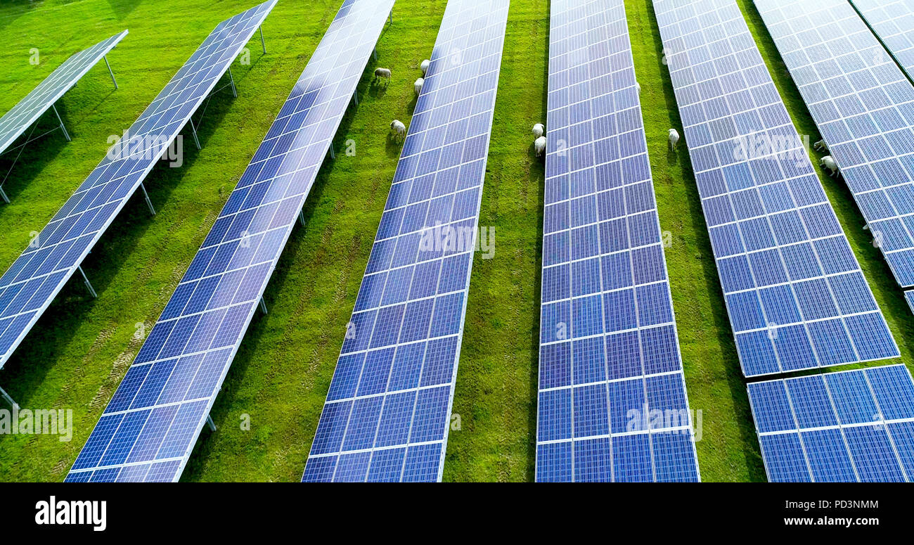 Solar panels in aerial view Stock Photo - Alamy