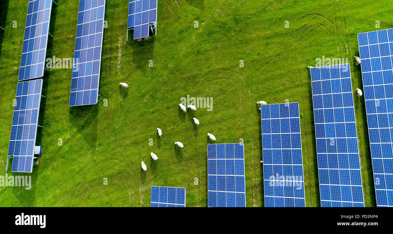 Solar panels in aerial view Stock Photo - Alamy