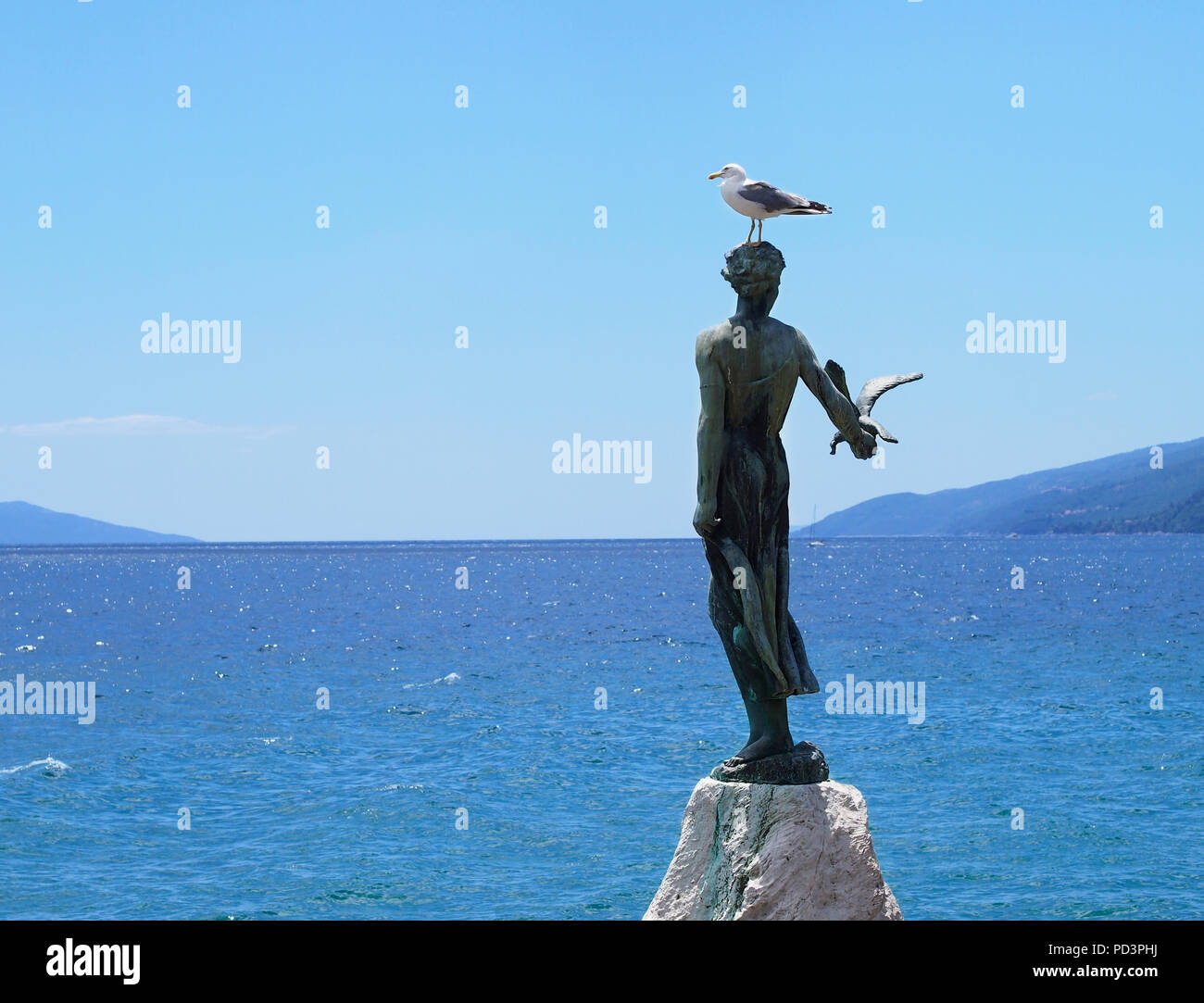 Seagull And Statue High Resolution Stock Photography and Images - Alamy
