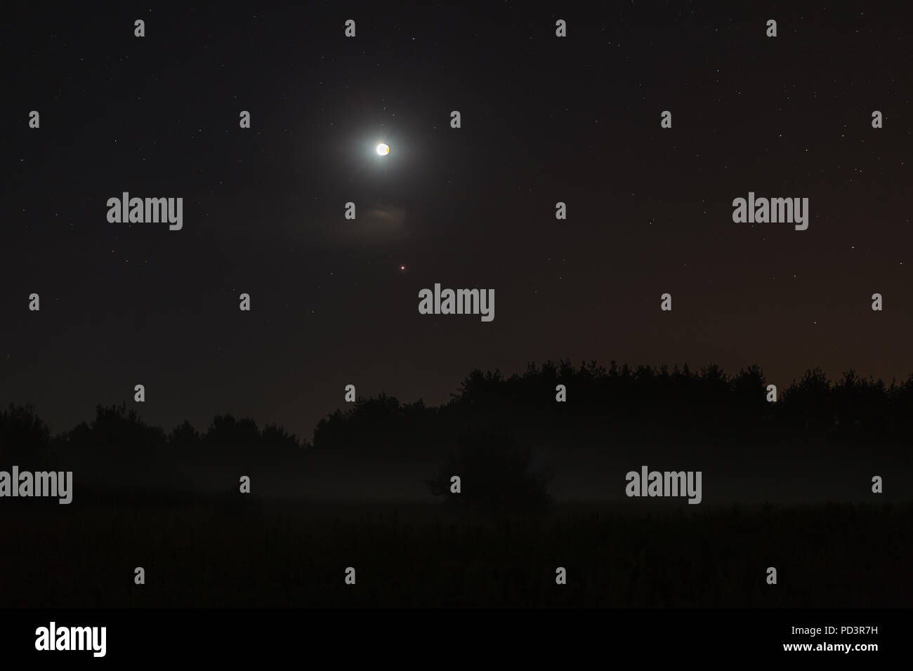 Night sky over forest, visible full eclispse of Moon, Mars in perigee ...