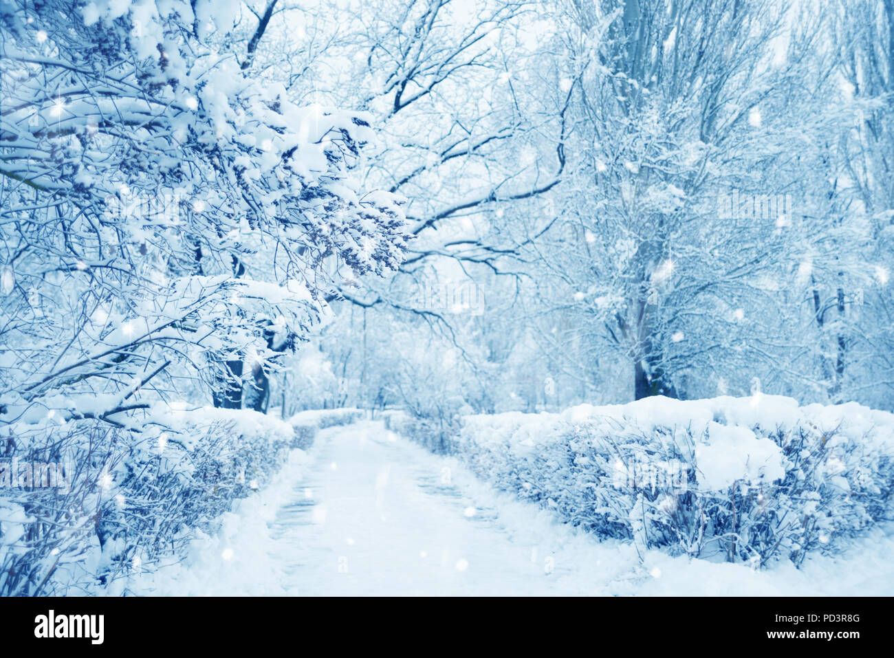 Alley covered snow in hi-res stock photography and images - Alamy