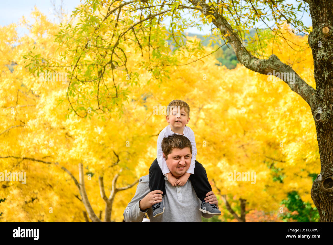 Father giving his son piggyback ride in autumn park, Adelaide Hills ...