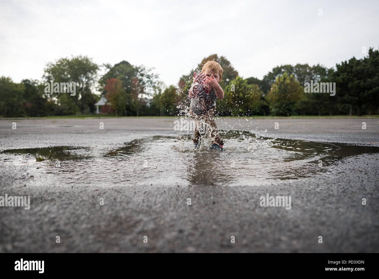 Boy splashing in puddle on road Stock Photo - Alamy