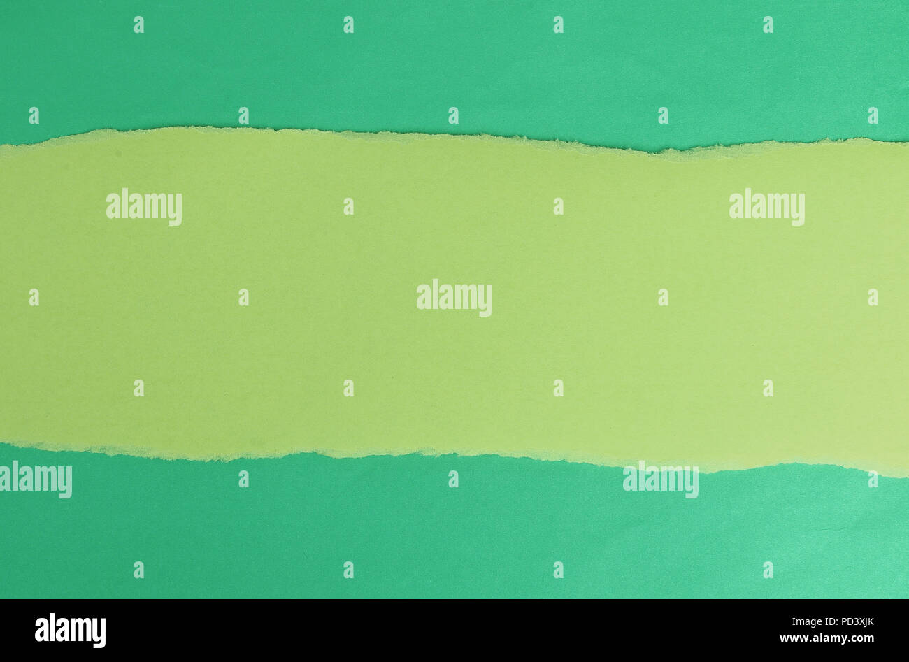 torn sheet of paper green sheet of paper Stock Photo - Alamy