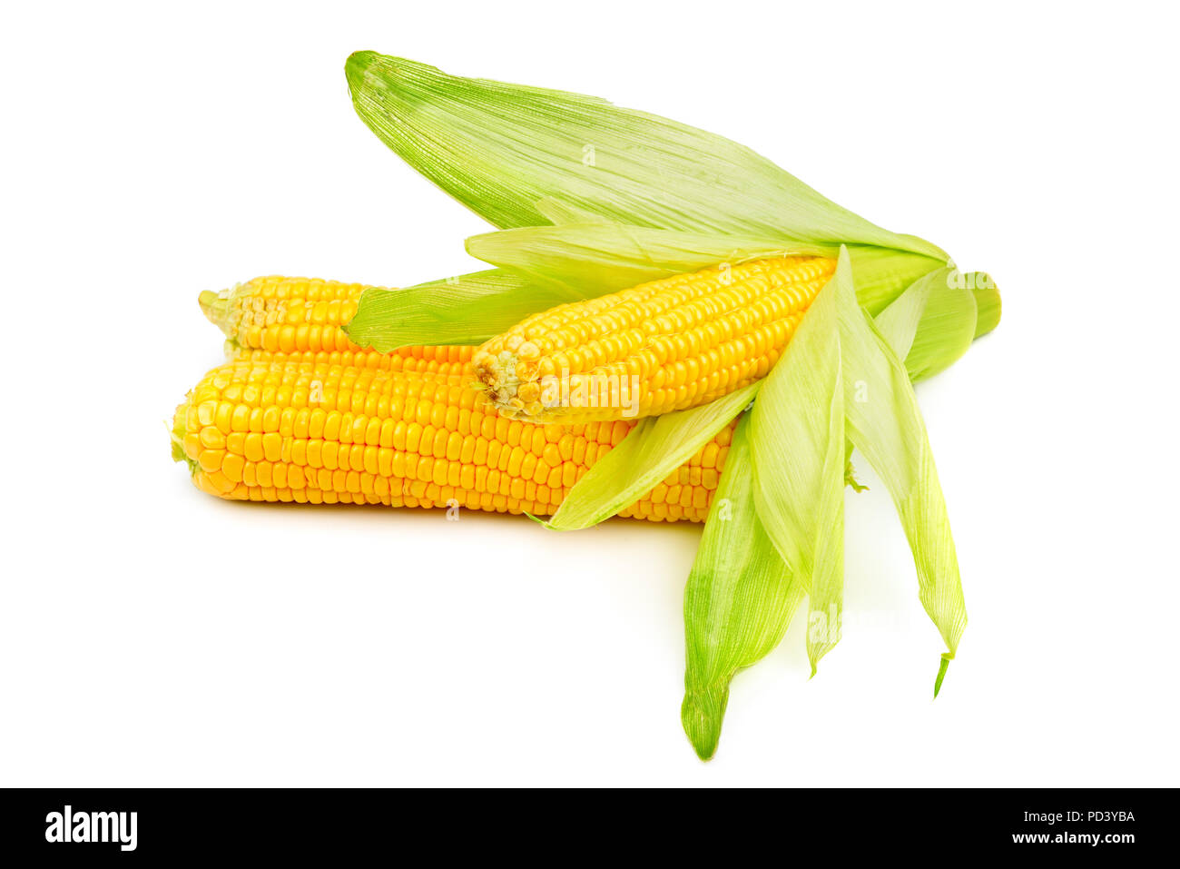 Corn cob isolated on white background Stock Photo - Alamy