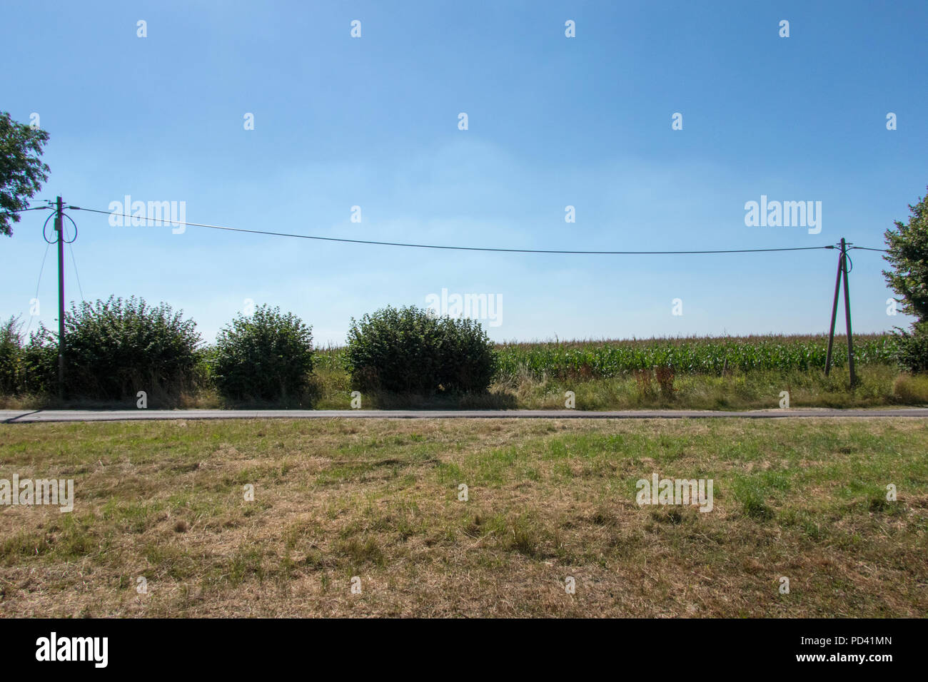 Catenary; the form of a cable or chain that hangs in a gravitational ...