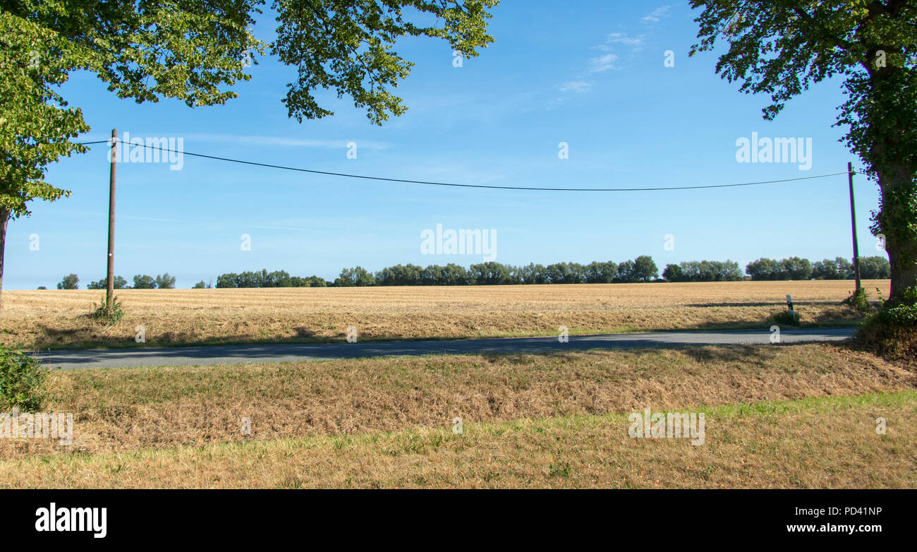 Catenary; the form of a cable or chain that hangs in a gravitational ...