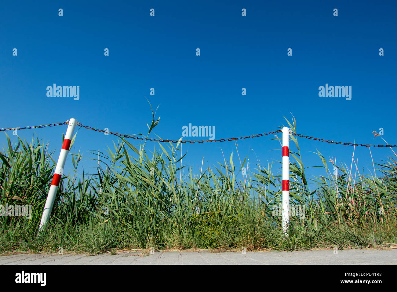 Catenary; the form of a cable or chain that hangs in a gravitational ...