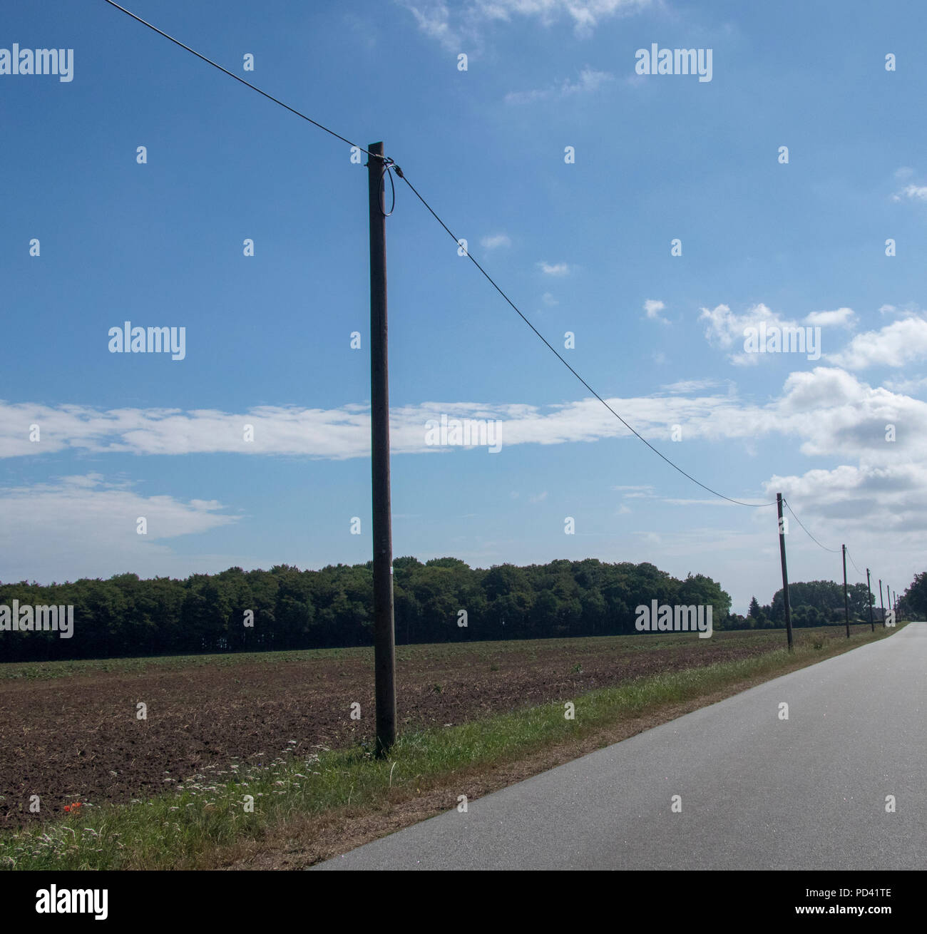 Catenary; the form of a cable or chain that hangs in a gravitational ...