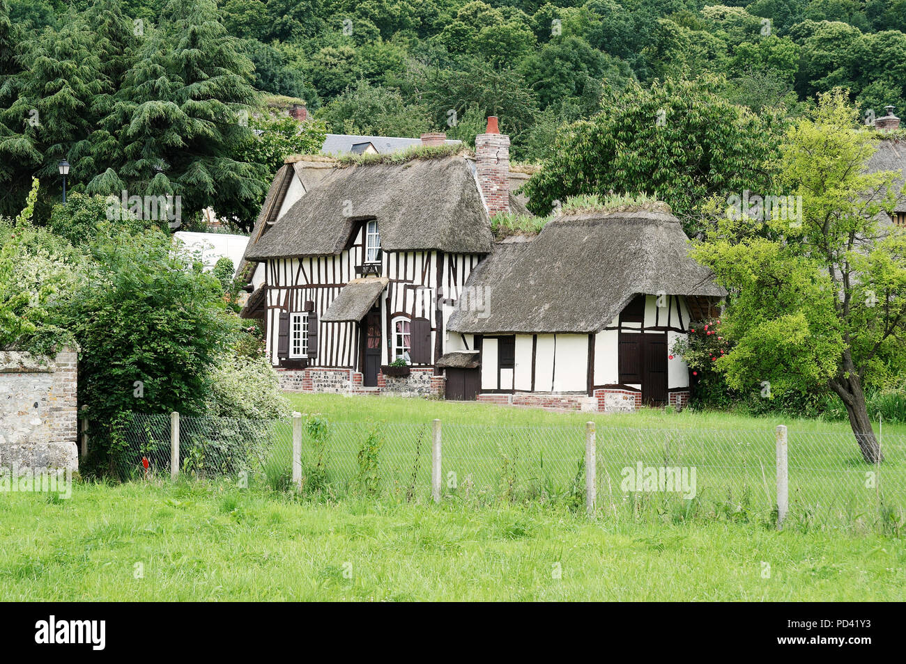 Traditional Timber Framed thatched Normandy rural Cottage Stock Photo ...