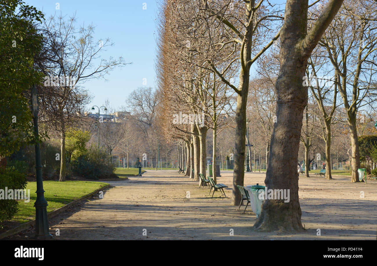 Paris green row of trees hi-res stock photography and images - Alamy