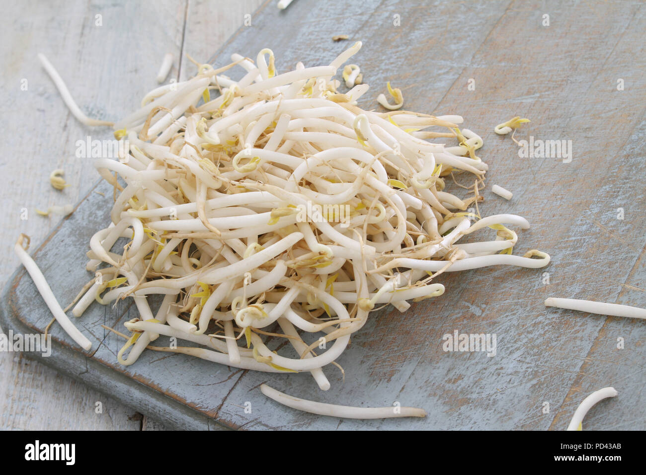 Soya bean shoot hi-res stock photography and images - Alamy