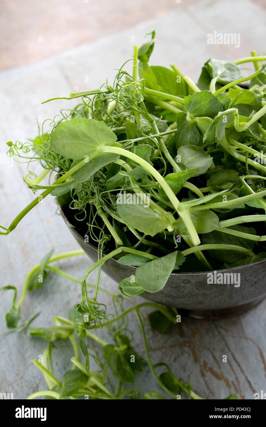 preparing fresh pea shoots Stock Photo - Alamy