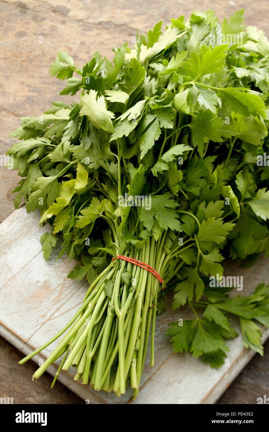preparing fresh parsley Stock Photo - Alamy