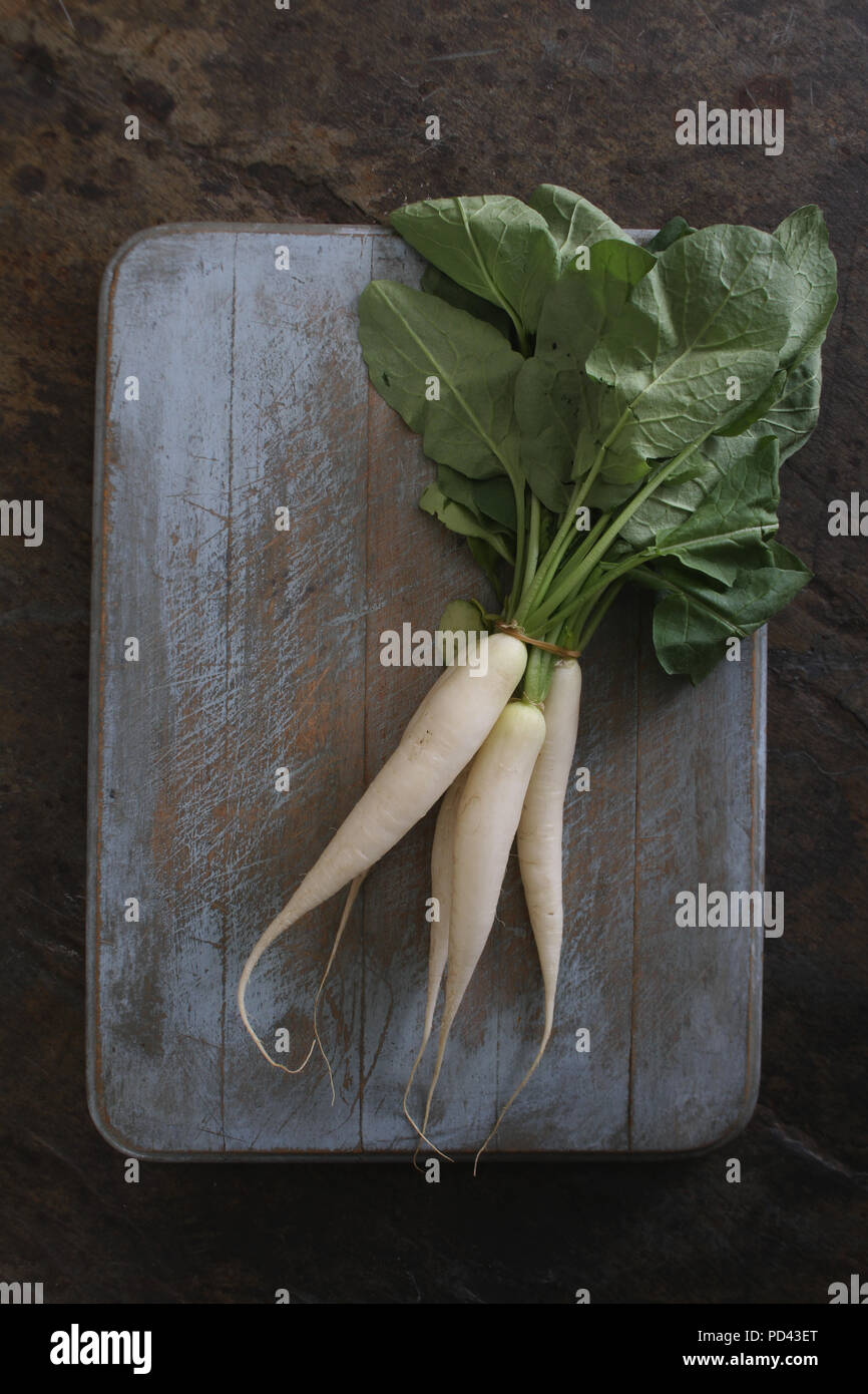 White radish baton hi-res stock photography and images - Alamy