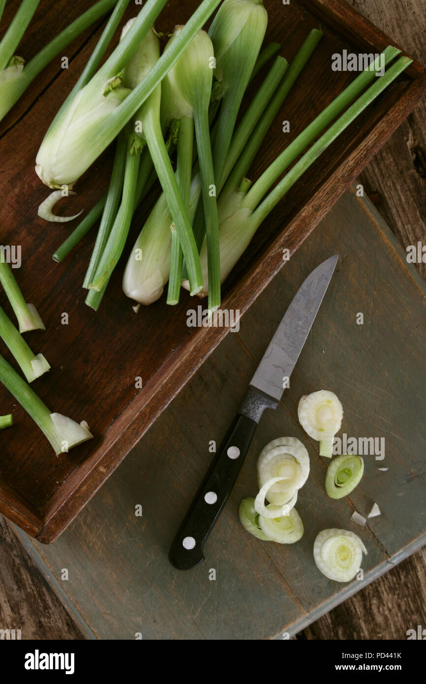 Diced fennel hi-res stock photography and images - Alamy