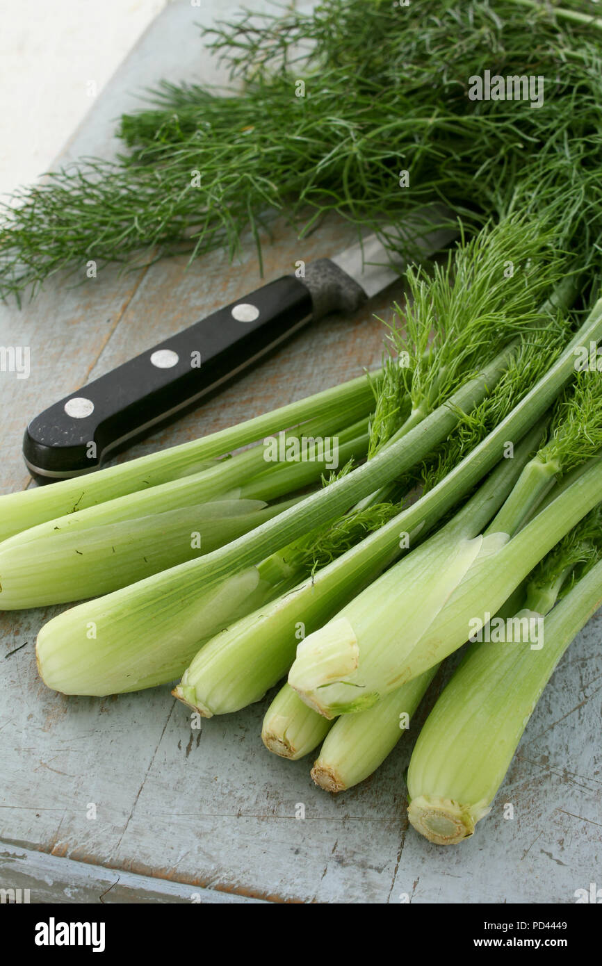 preparing baby fennel Stock Photo - Alamy