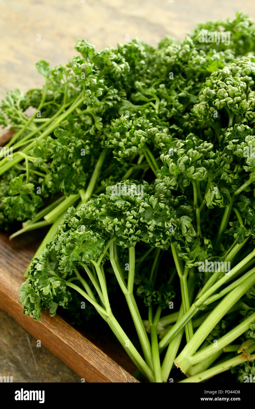 preparing fresh parsley Stock Photo - Alamy