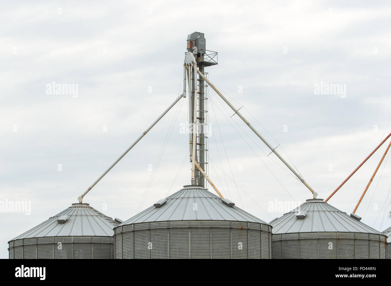 large grain terminal in the river port. Capacity and storage of grain ...