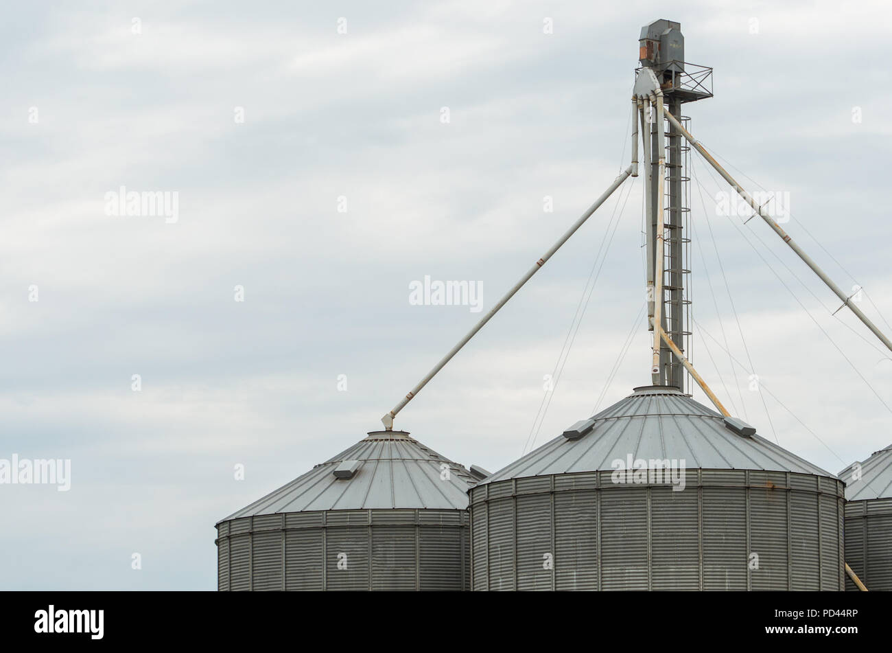 large grain terminal in the river port. Capacity and storage of grain ...
