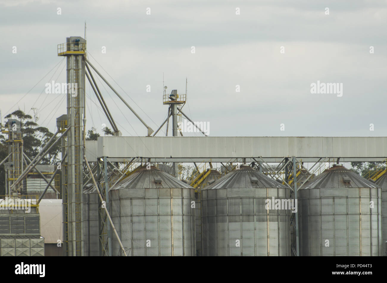 large grain terminal in the river port. Capacity and storage of grain ...