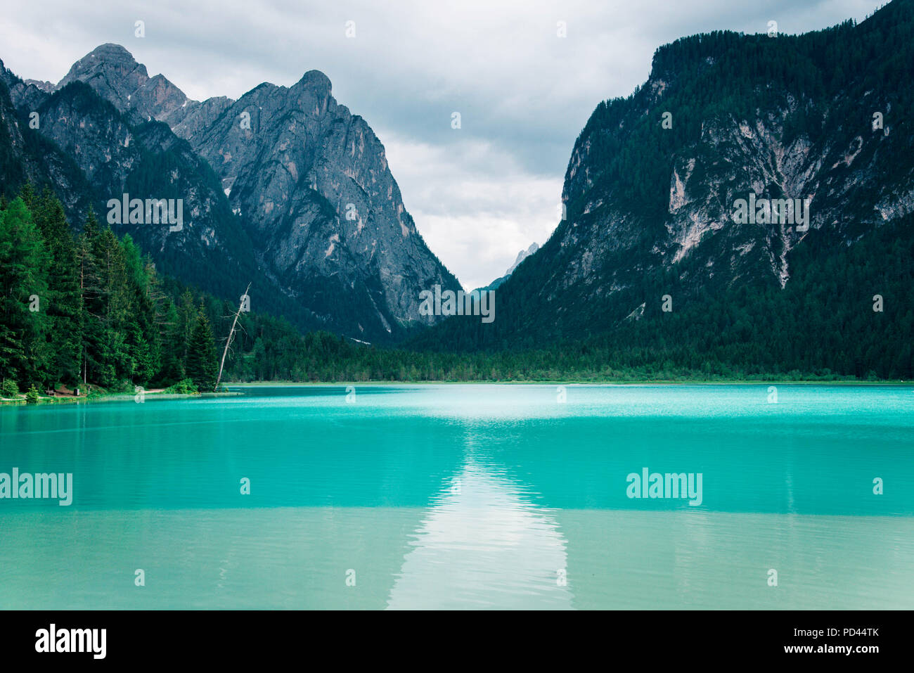 Dobbiaco Lake in the Dolomites Alps, summer landscape, Bolzano, Italy ...