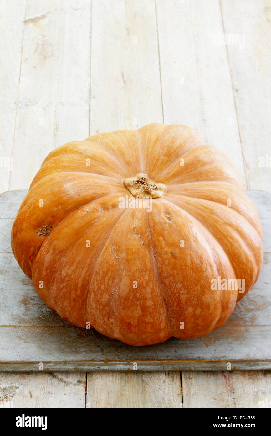 fresh pumpkin fruit Stock Photo - Alamy