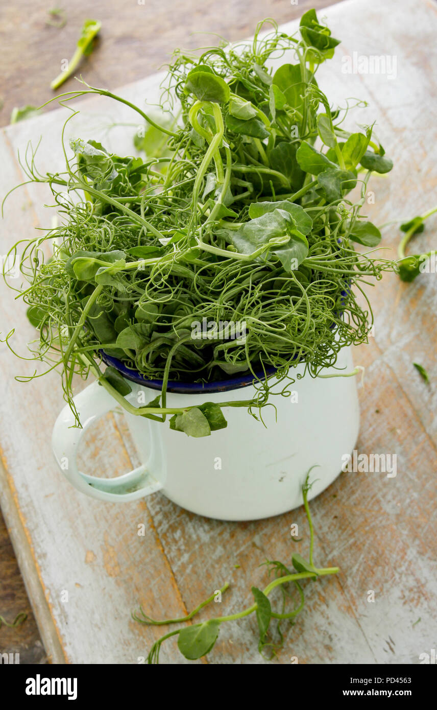 preparing fresh pea shoots Stock Photo - Alamy