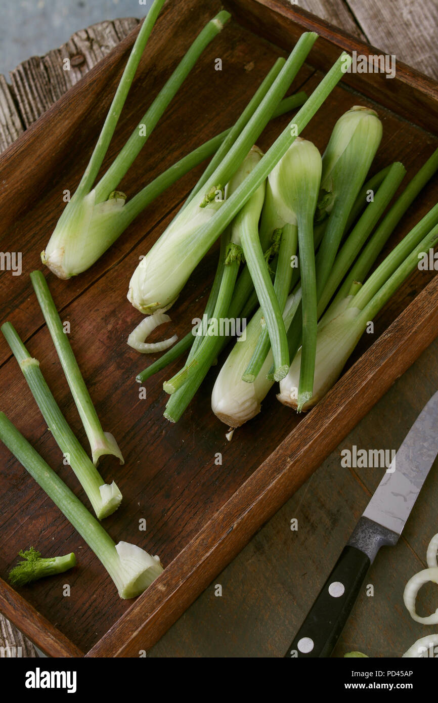 Diced fennel hi-res stock photography and images - Alamy