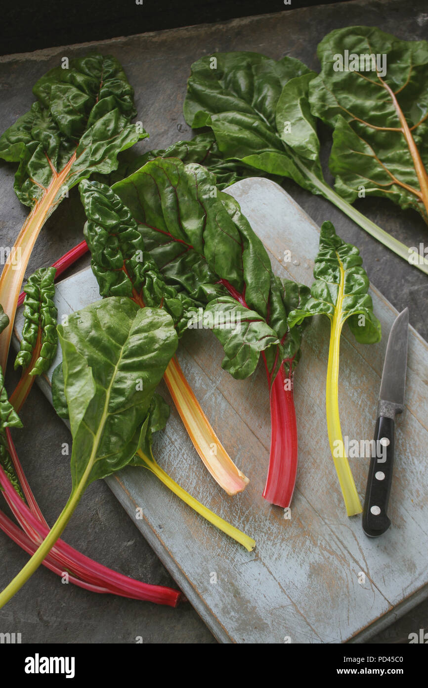 preparing fresh chard Stock Photo - Alamy