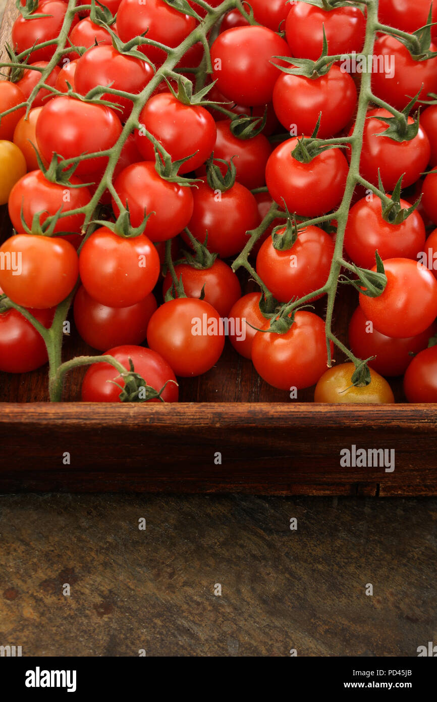 Piccolino Tomatoes High Resolution Stock Photography and Images - Alamy