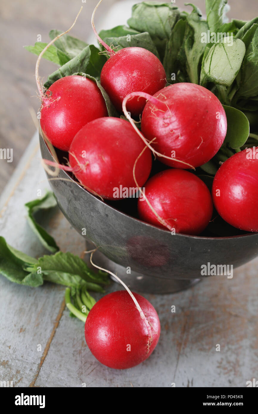 red european radish Stock Photo - Alamy