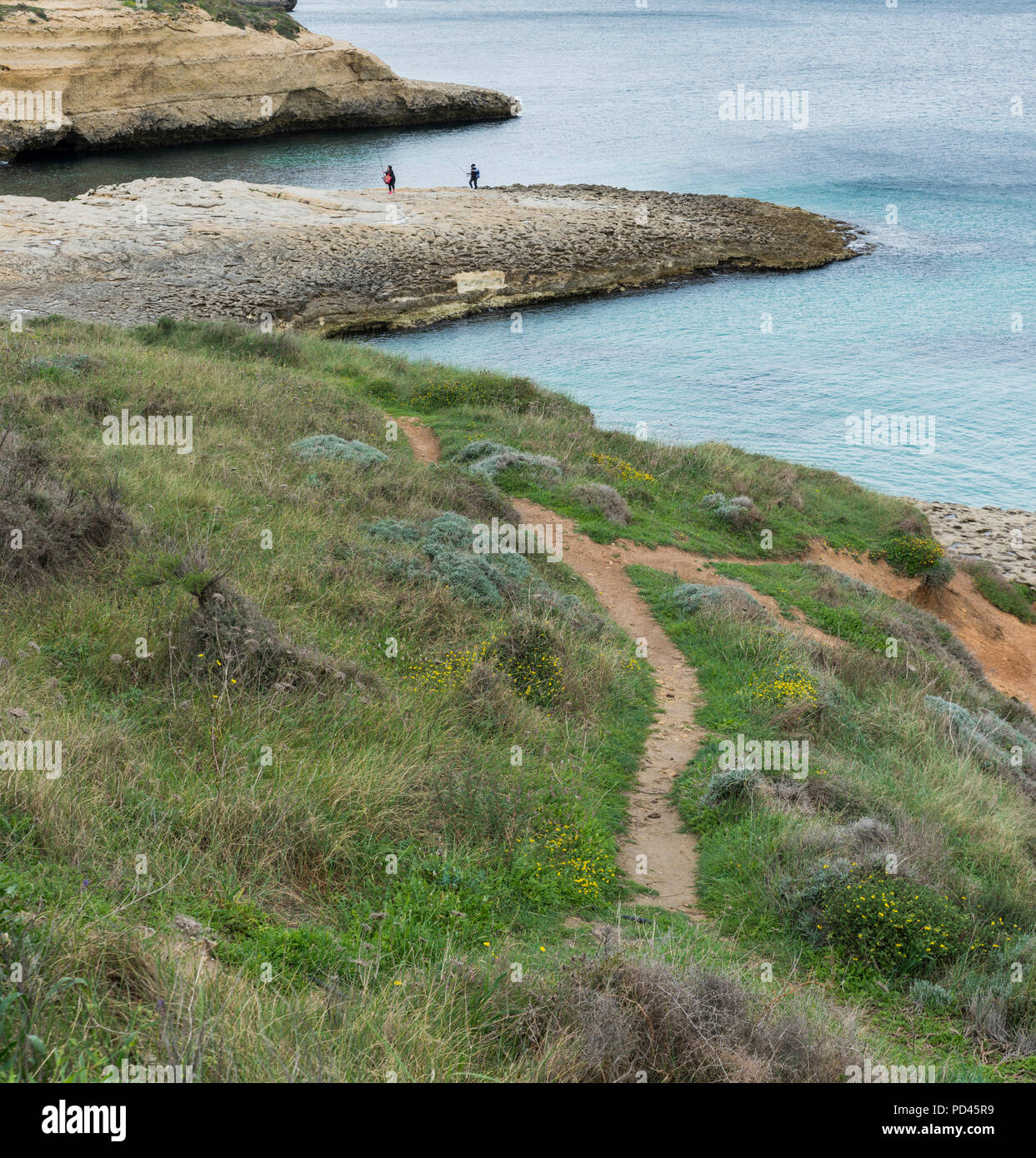 Sardinia fish hi-res stock photography and images - Alamy