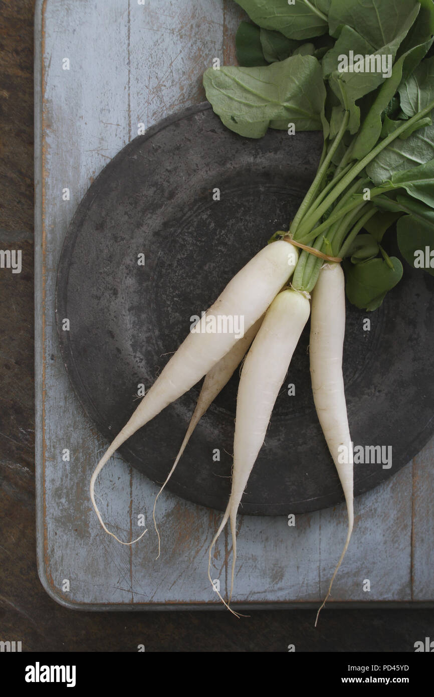 preparing fresh white raddish Stock Photo - Alamy