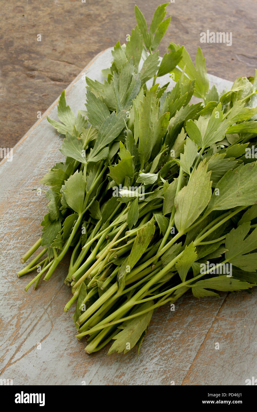 preparing fresh parsley Stock Photo - Alamy