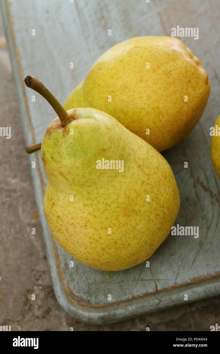 fresh ripe english pears Stock Photo - Alamy