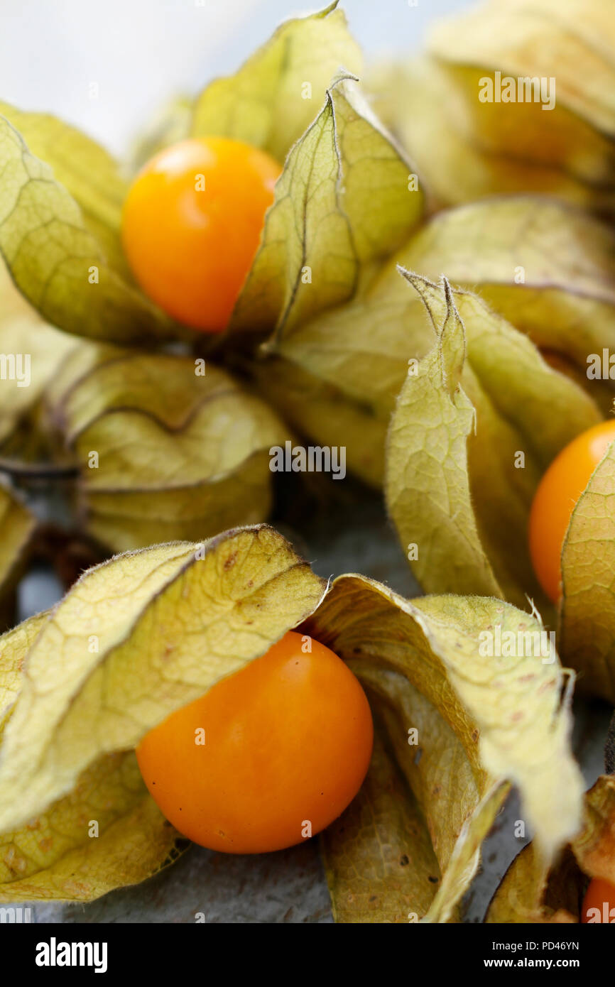 fresh fruit physalis Stock Photo - Alamy
