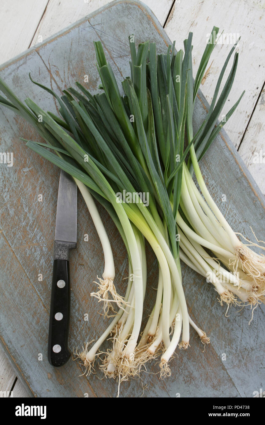 preparing fresh leeks Stock Photo - Alamy