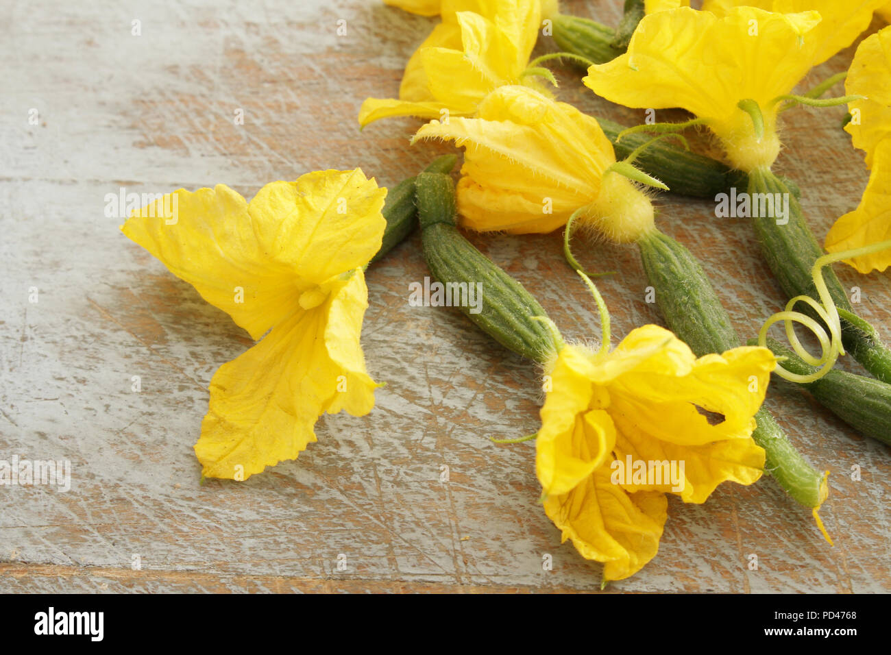 edible cucumber flowers Stock Photo - Alamy