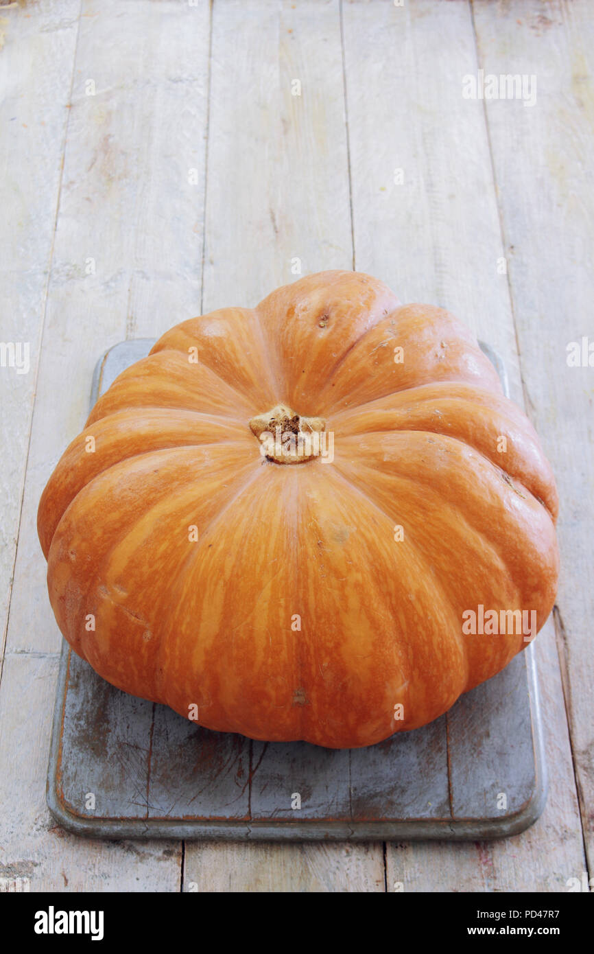 fresh pumpkin fruit Stock Photo - Alamy