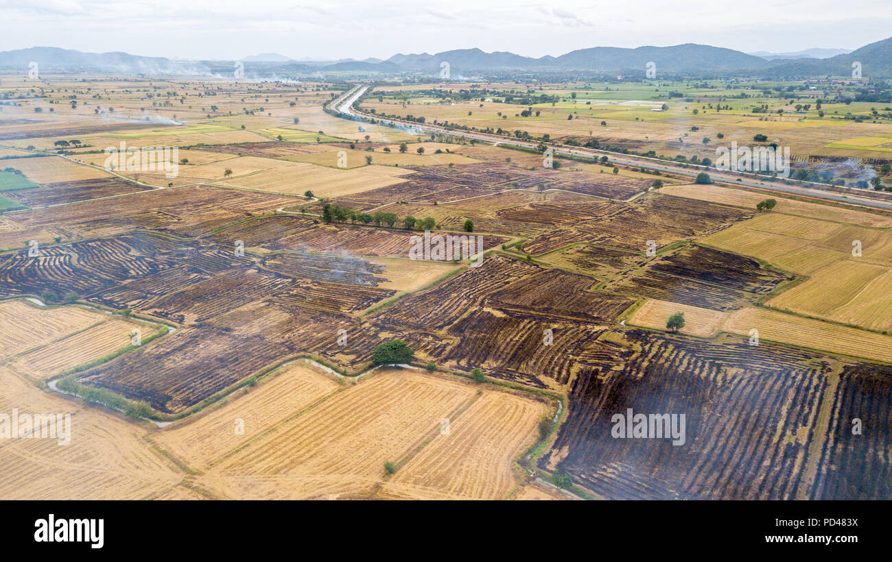 Burning rice stubble and smoke on top view in Thailand, air pollution ...