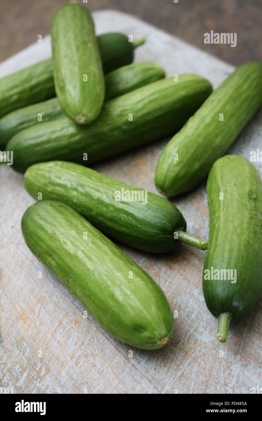 slicing baby cucumber Stock Photo - Alamy